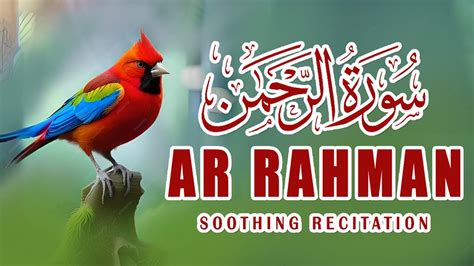Surah Ar Rahman Surah RAHMAN The Beneficent سورة الرحمن Ar Rehman