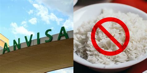 Fezes De Rato Anvisa Pro Be Marca De Arroz E Situa O Hoje