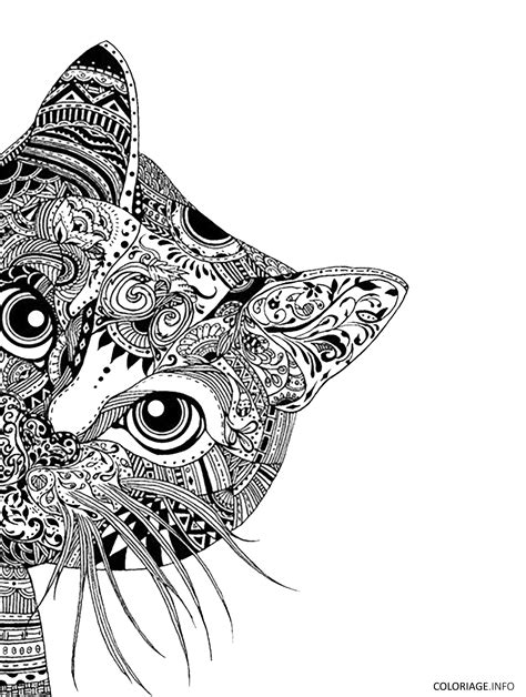 Coloriage Mandala Chat Difficile Adulte JeColorie