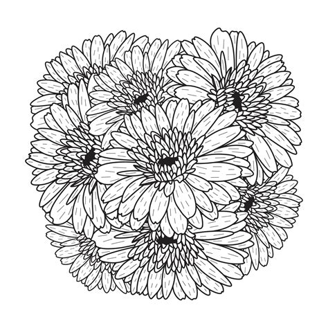 Beautiful Flowers Of Gerbera Daisy Coloring Page Drawing Detailed In