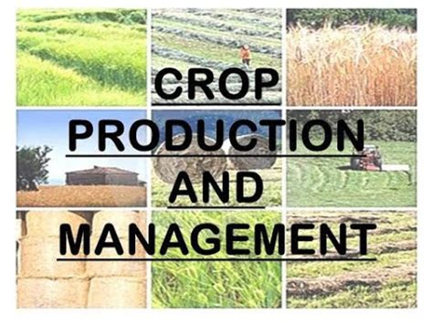 Crop Production And Management Science Class Youtube