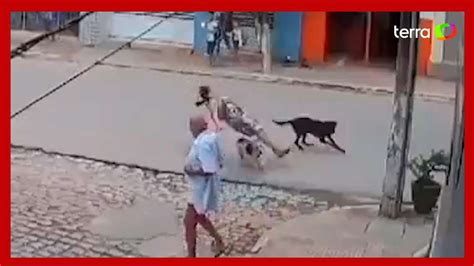Mulher Atropelada Por Cachorros E Bate A Cabe A Em Queda Na Para Ba