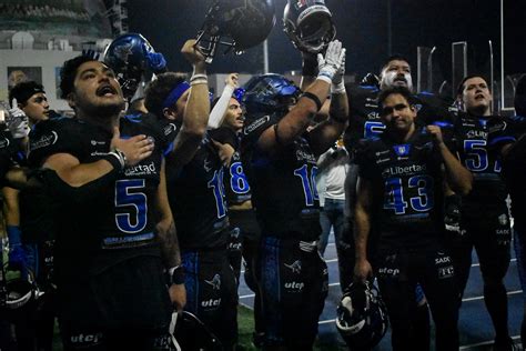 Galer A Gallo Gallos Negros Quer Taro