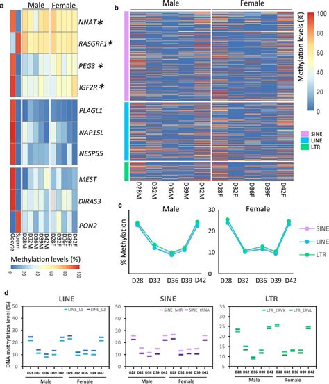 methylome dynamics of functional genomic elements at the different time download scientific