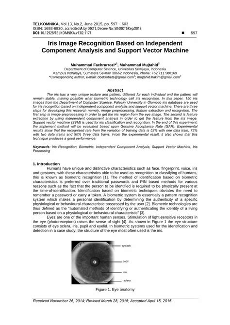 pdf iris image recognition based on independent component analysis dokumen tips