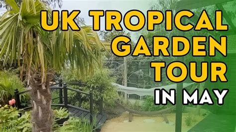 A Tour Of My Uk Tropical Garden And Greenhouse In May Exotics Jungle