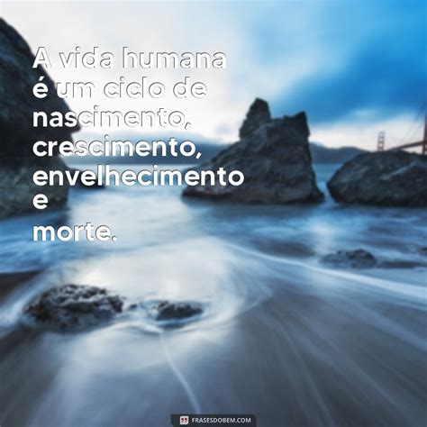 Descubra As Melhores Frases Inspiradoras Sobre Ciclos Para Refletir E