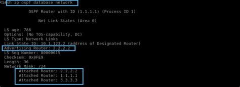 11 OSPF LSA Types Explained With Diagrams