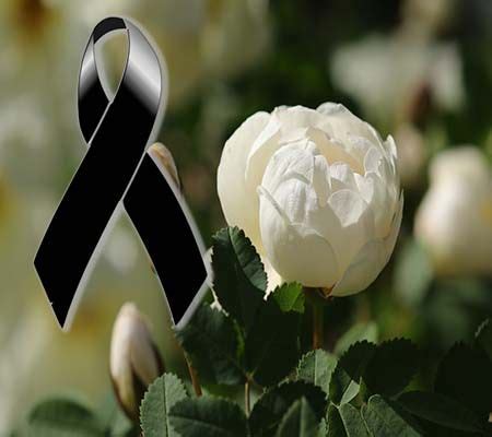 Lazo De Luto Con Rosa Blanca