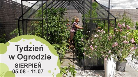 Sierpie W Ogrodzie Kalendarz Ogrodnika Na Prace
