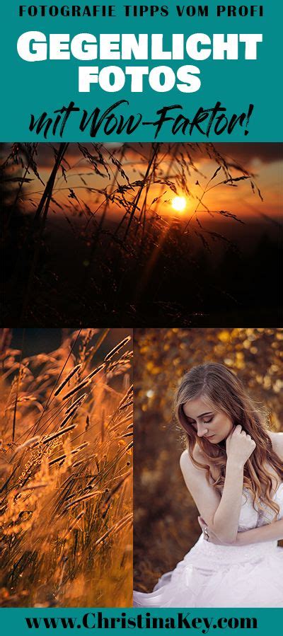 Gegenlicht Foto Tipps Kreative Fotografie Tipps Und Foto Hacks