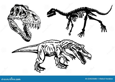 Graphical Set Of Dinosaur Skeletons Isolated On Black Background Vector