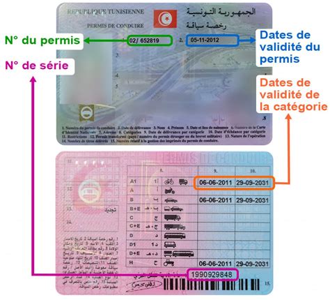 Traduction De Permis De Conduire Tunisie Cabinet Alata