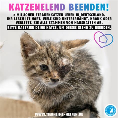 Deutscher Tierschutzbund Landesverband Rheinland Pfalz E V