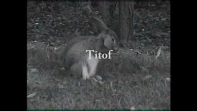 Youtube Film Histoire Vrai Complet En Francais Policier Vidéos Porno