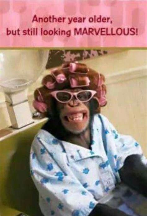 Monkey With Images Birthday Greetings Funny Funny Birthday Pictures