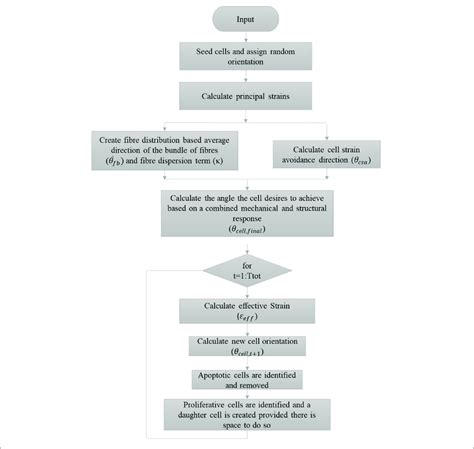 flowchart describing the implemented algorithm download scientific diagram