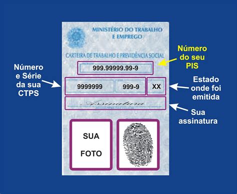 Como Saber O Numero Do Pis Pelo Cpf Image To U