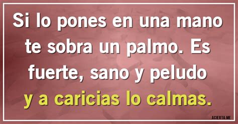 Si Lo Pones En Una Mano Te Sobra Un Palmo Es Fuerte Sano Y Peludo Y A