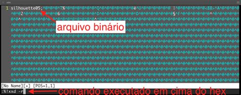 Como visualizar e editar arquivos binários usando xxd codamos br