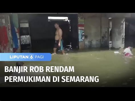 Banjir Rob Setinggi 50 Cm Rendam Permukiman Warga Di Kota Semarang