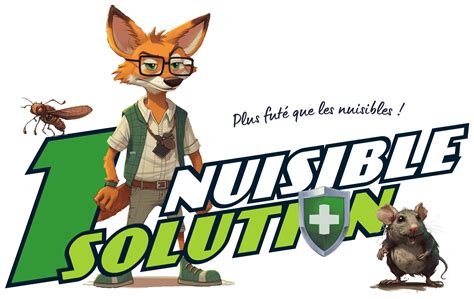 Les 9 Pictogrammes De Danger 1 Nuisible 1 Solution