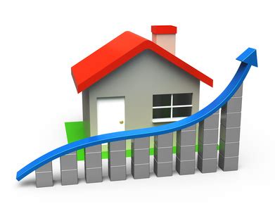 Instruction Matters Toyrantula Real Estate