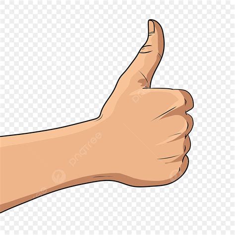 Duim Omhoog Gebaar Illustratie Duim Clipart Duim Omhoog Gebaar