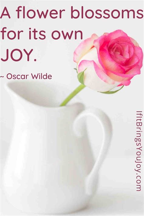 Oh Joy Quotes To Help You Bring Joy To Your Day Inspirational Daily