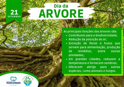 21 DE SETEMBRO DIA DA ÁRVORE Prefeitura Municipal de Muricilândia