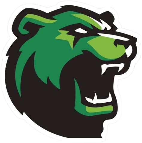 The Brookhaven Bears Scorestream