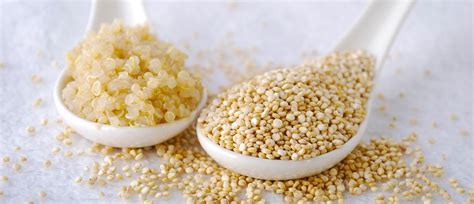 10 Beneficios De La Quinoa Consejos De Salud Belleza Y Bienestar