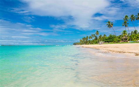 Praias de Maceió As 10 Melhores praias para o destino perfeito