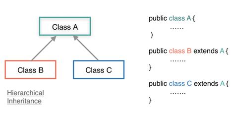 java inheritance types extends class with examples eyehunts