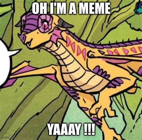 Kinkajou Imgflip