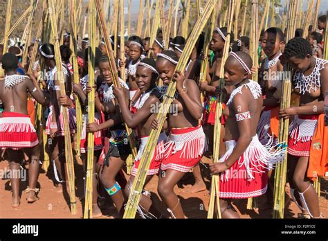 Swaziland Women Reed Dance Telegraph