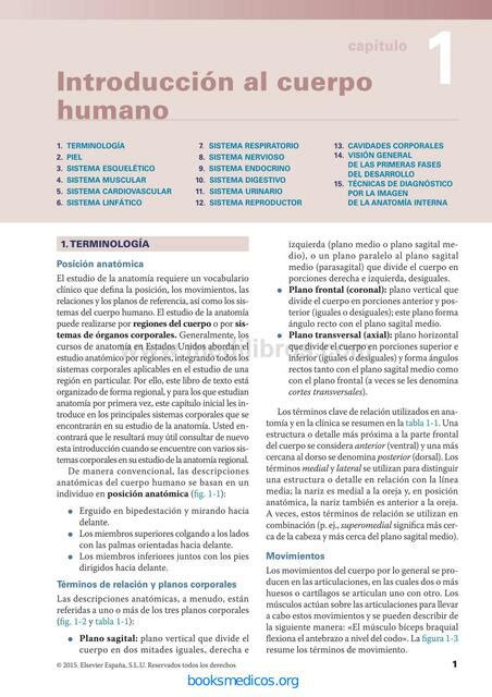 Introducción al Cuerpo Humano Ailen Sosa uDocz