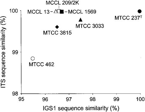 Schematic Graphical Representation Showing Sequence Similarities