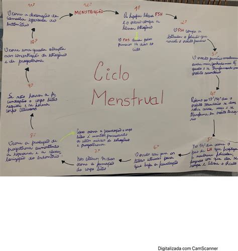 Ciclo Menstrual Em 2021 Ciclo Menstrual Mapa Hist Buickcafe