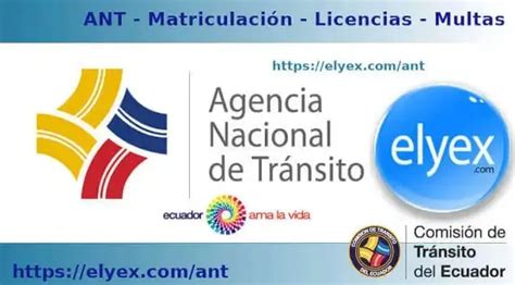 Requisitos Para Sacar La Licencia De Conducir Ecuador 2024 Elyex