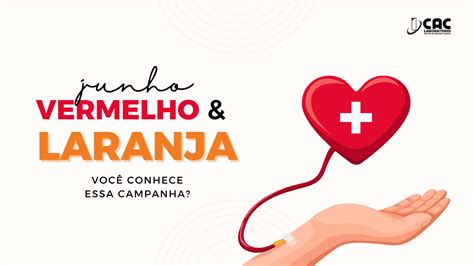 Junho Vermelho e Laranja Doação de sangue anemia e leucemia