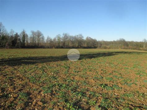 Terreno Agricolo Fontana Canterina Castel Sant Elia Rif