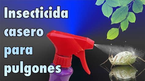 Pin En Abonos Insecticidas Naturales