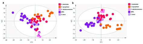 Score Plot Of The Pca A And Pls Da B Models Of The Hydroalcoholic