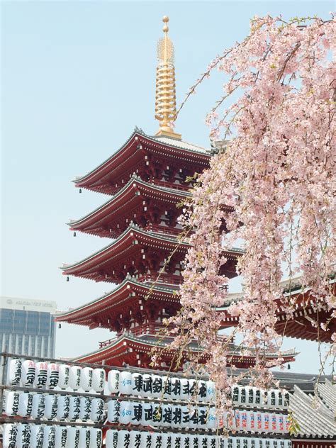 Cosa Vedere E Fare A Tokyo In Tre Giorni Itinerario Completo Eleutha