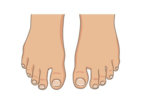 planta del pie femenino o masculino descalzo vista superior uñas de