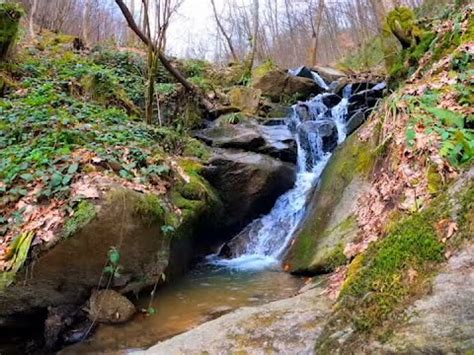 Musique Douce Relaxante Calme Nature Relaxation YouTube