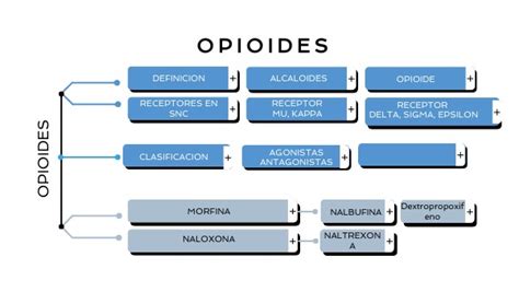 MAPA CONCEPTUAL DE OPIOIDES