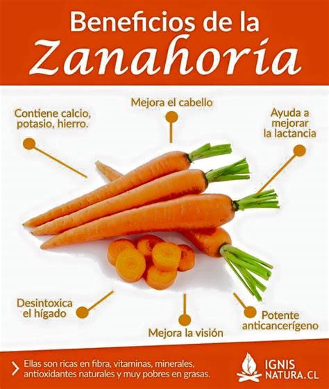 5 Beneficios De La Zanahoria Un Vegetal Que Combate Y Reduce La Anemia