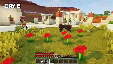 I Survived Days As An Iron Golem In Hardcore Minecraft Video